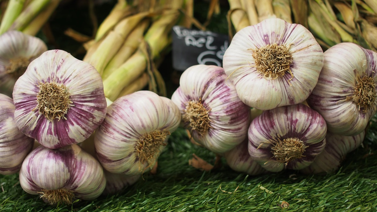 French garlic – Eden Frutas