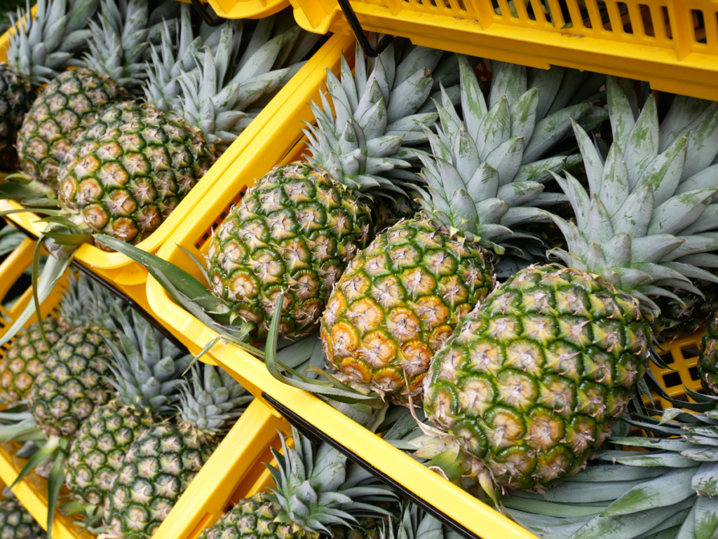 Fresh Pineapple – Eden Frutas