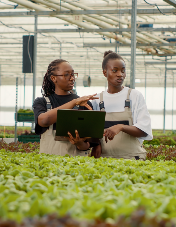 About Eden Frutas – Eden Frutas